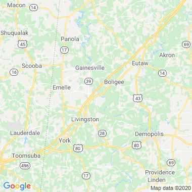 Dumpster Rental Epes, Alabama - Dumpster & Co. AL